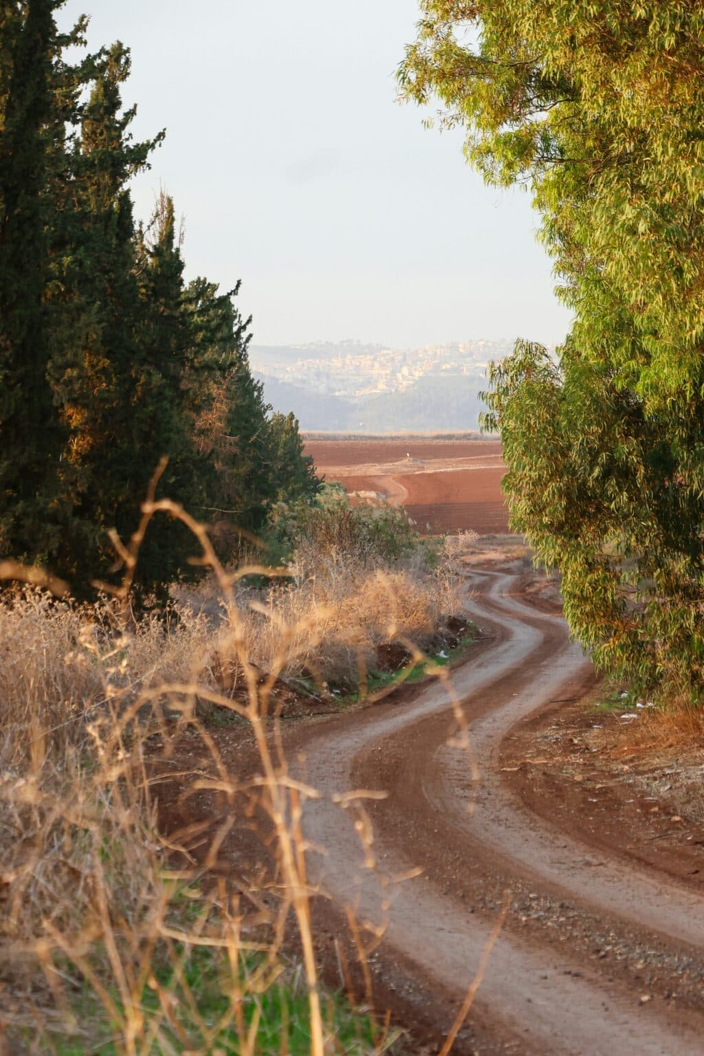 Main - Abide Ministries